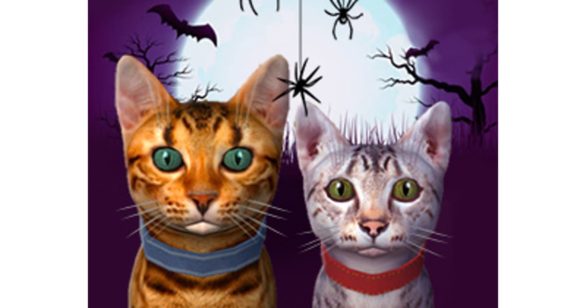 Cat Simulator Online - Play Cat Simulator Online