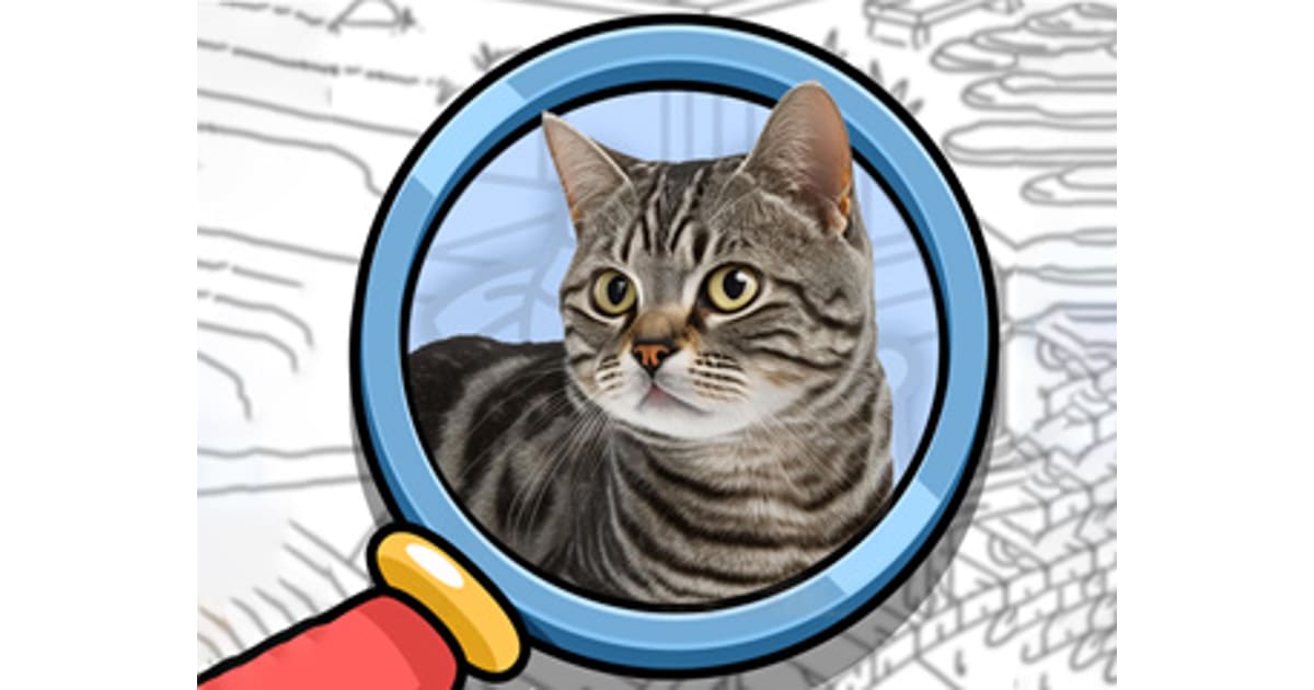 Find It Out: Oiiai Cat 👀 Best Casual Game